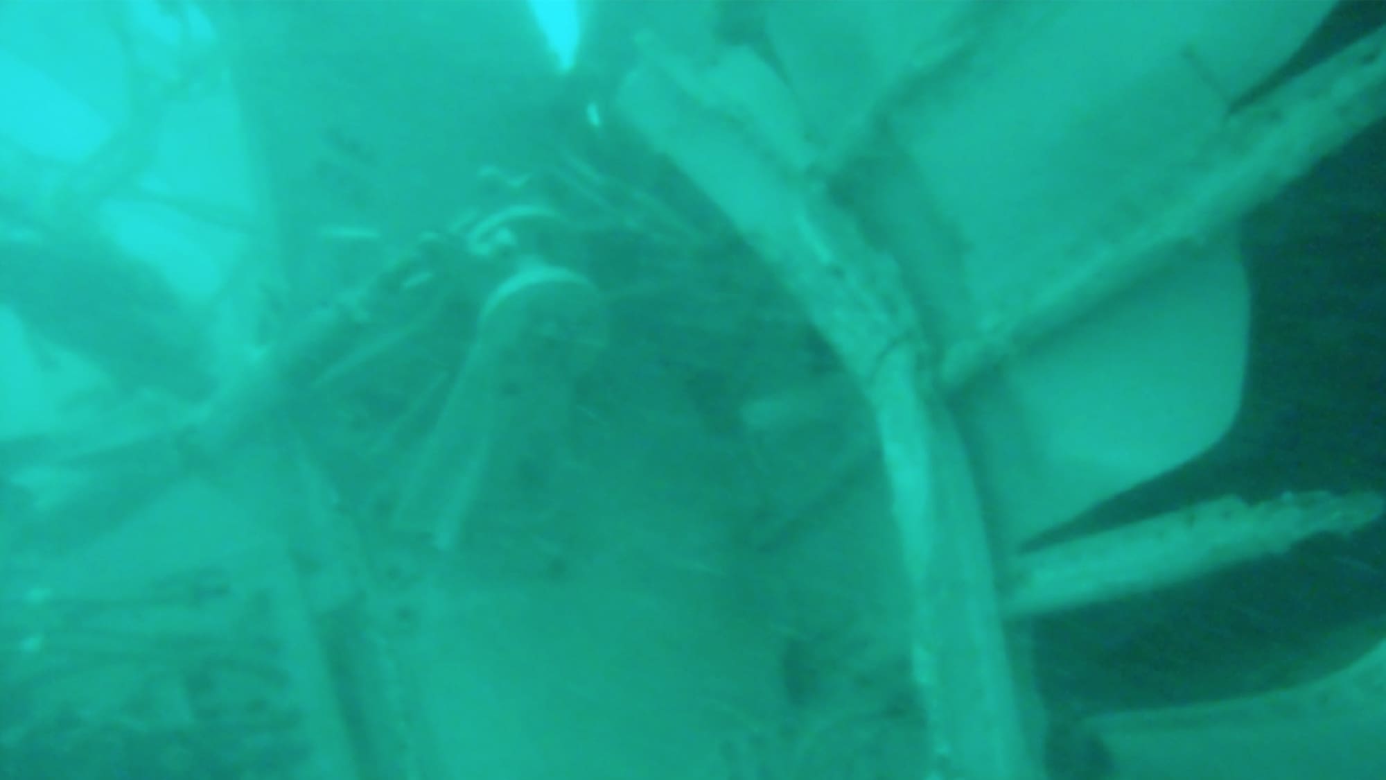 Todesflug QZ8501 Erste Signale Von Blackbox Empfangen Blick todesflug-qz8501-erste-signale-von-blackbox-empfangen-blick