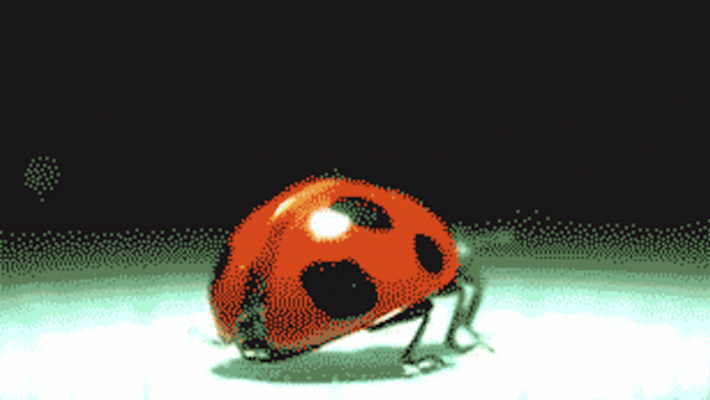 Forscher lösen Rätsel: So versteckt der Marienkäfer seine langen Flügel