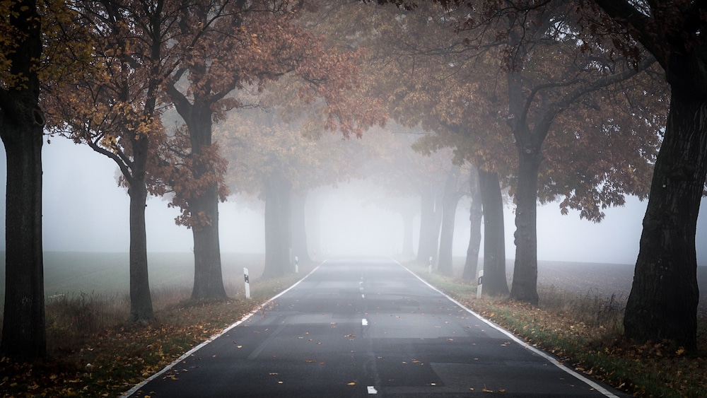 Drei Fakten zum Nebel: Das müssen Sie darüber wissen - Blick